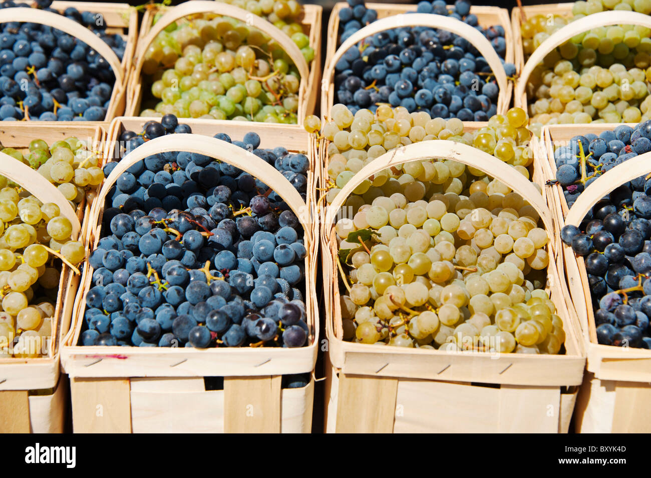 Punnets of fresh grapes on market stall Stock Photo - Alamy