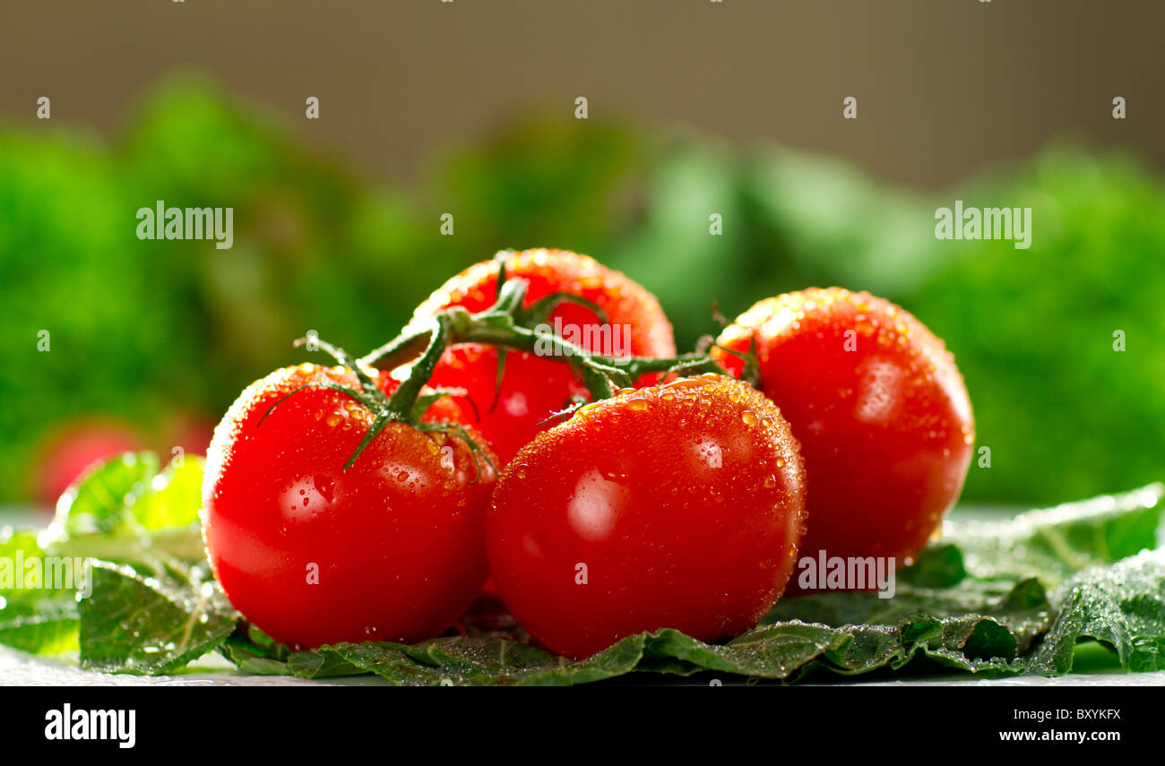 Tomatoes on the vine hi-res stock photography and images - Alamy