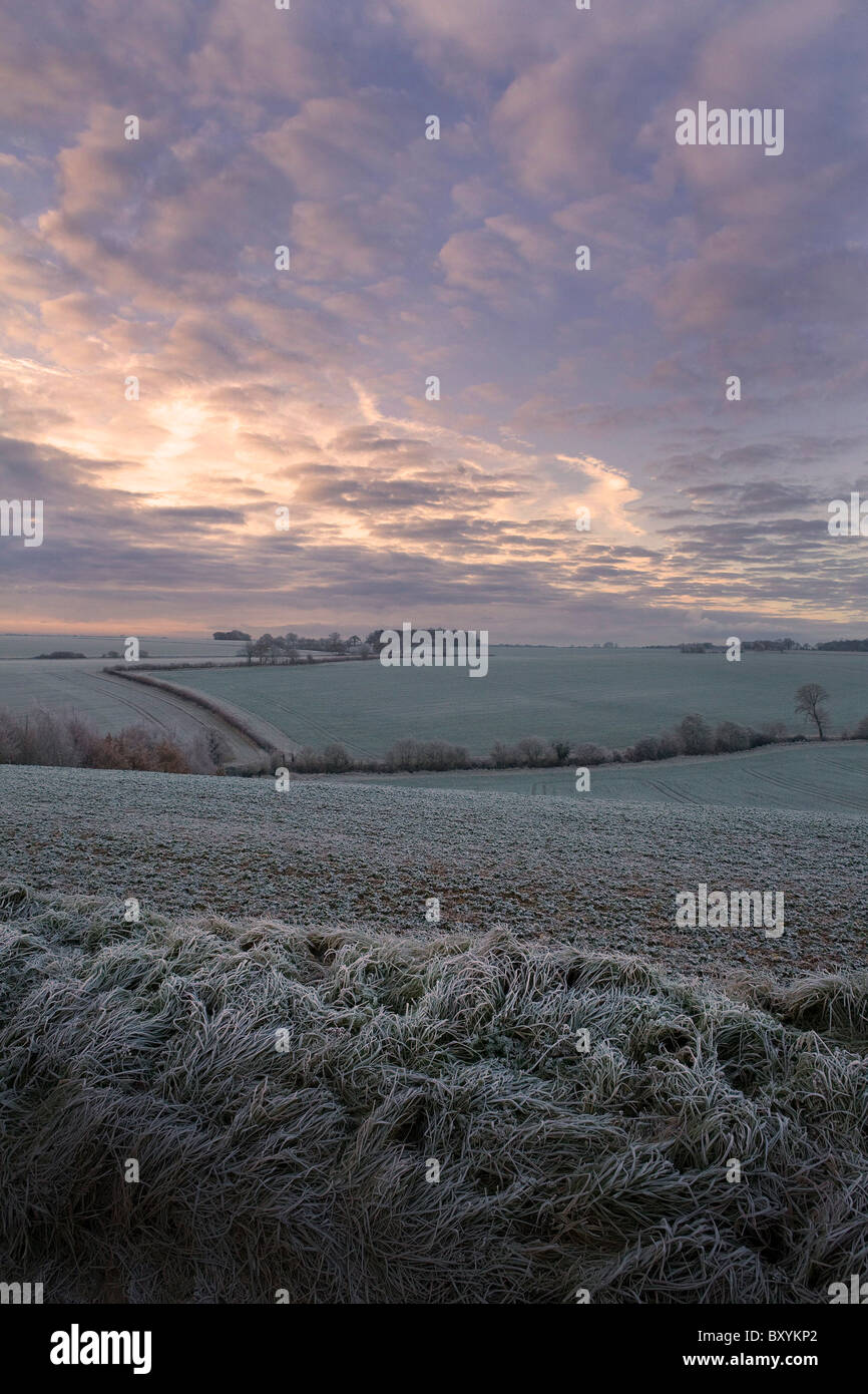 Frost over hi-res stock photography and images - Alamy