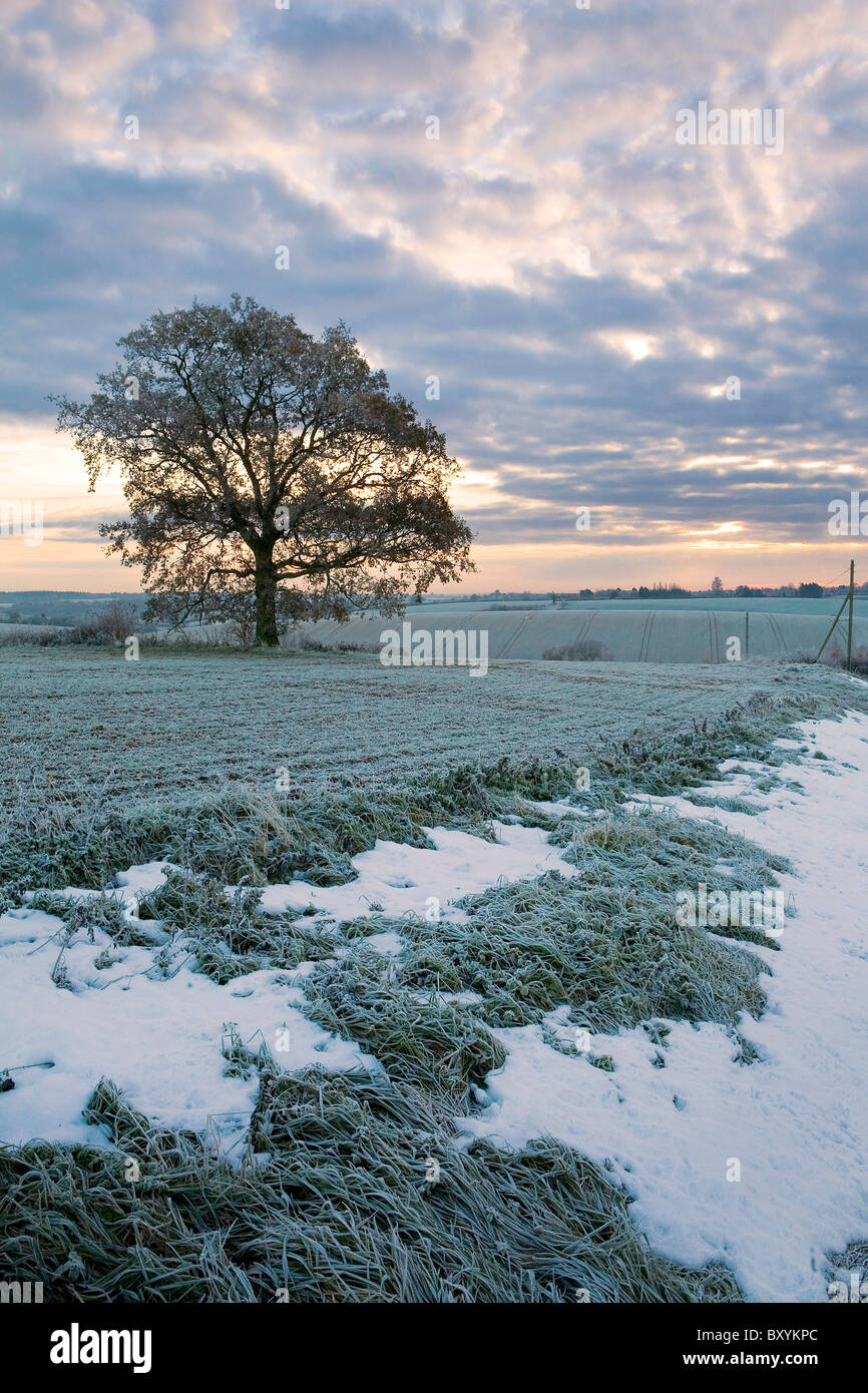 Hoar frost over agricultural land at Hawkedon Suffolk Stock Photo - Alamy