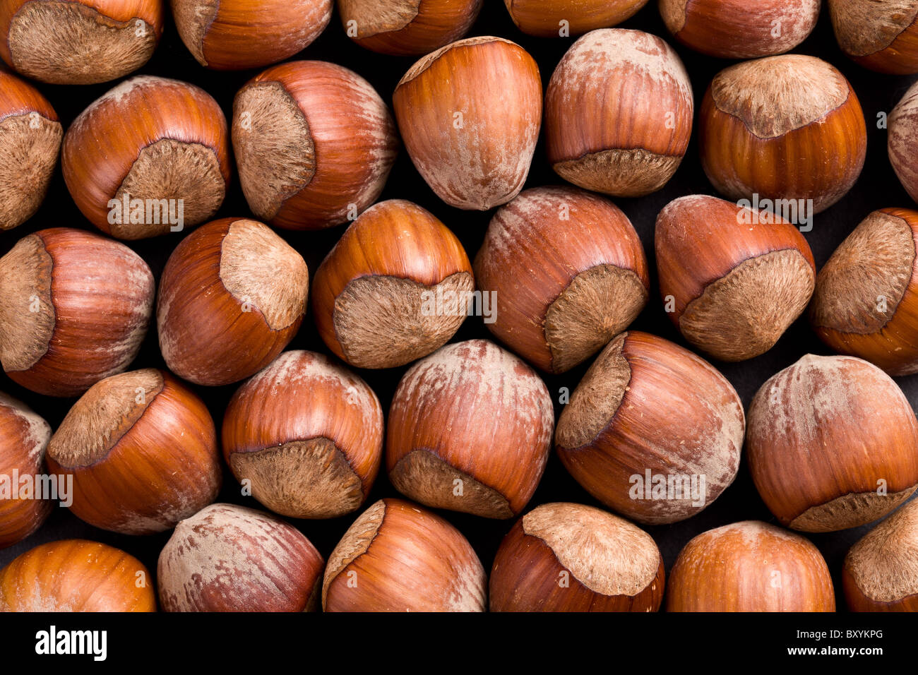 photo shot of hazelnuts background Stock Photo - Alamy