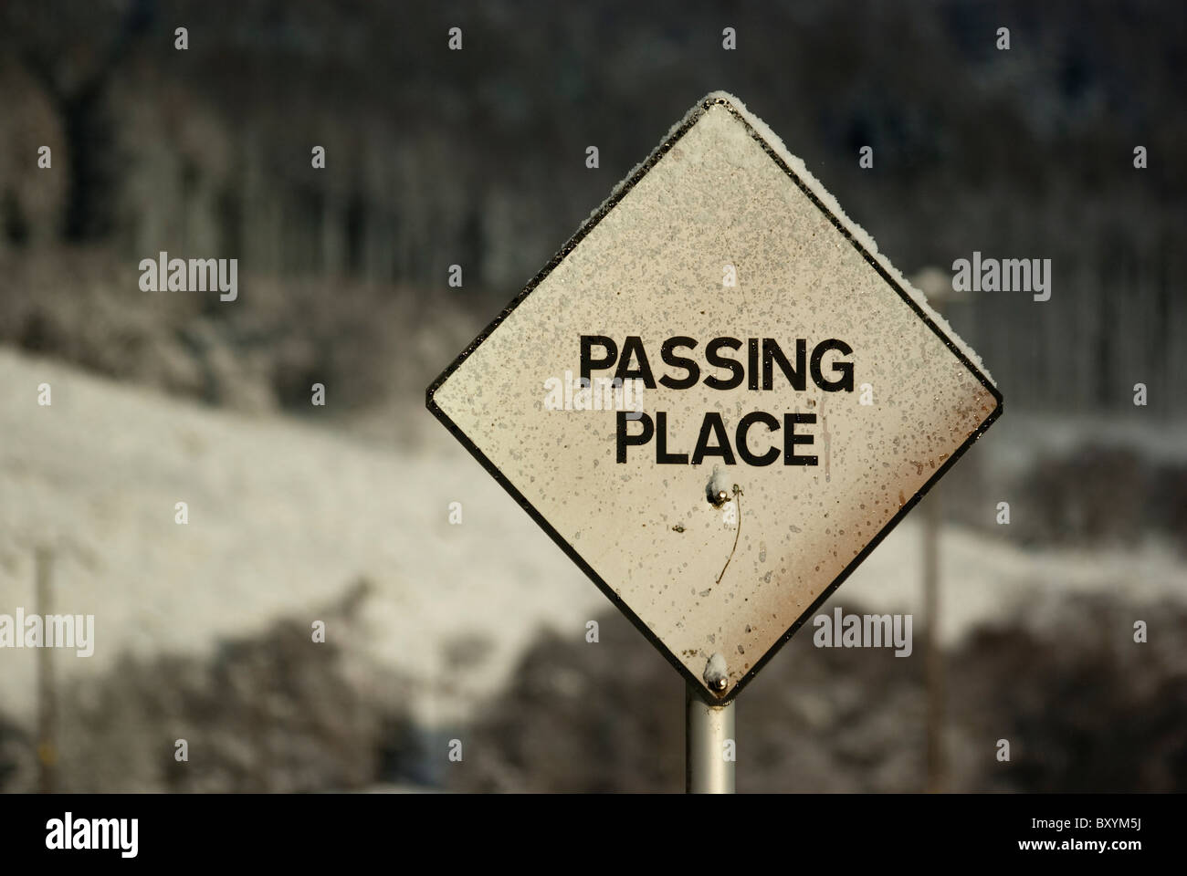 Country lane with passing place hi-res stock photography and images - Alamy