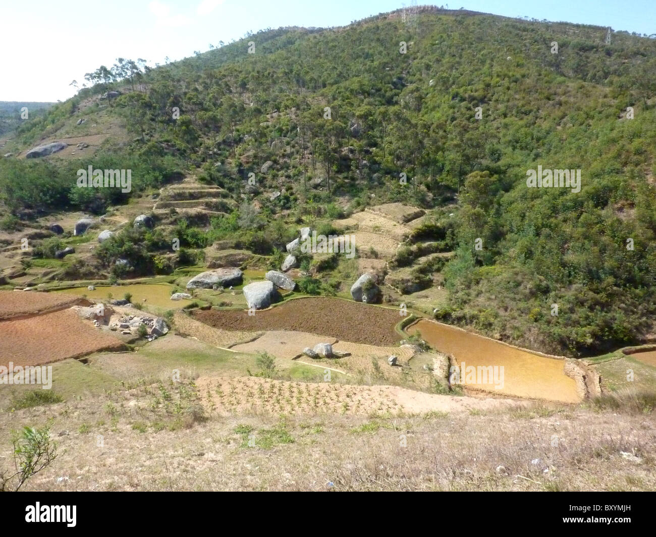 Rice terrace terraced madagascar hi-res stock photography and images ...