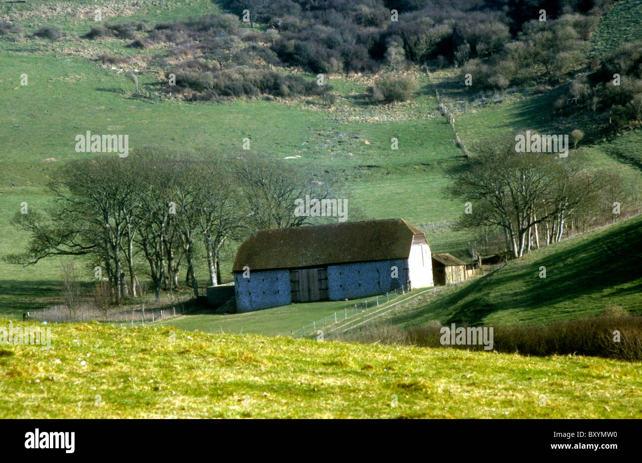 The South Downs at Exceat Hill in East Sussex, England Stock Photo - Alamy