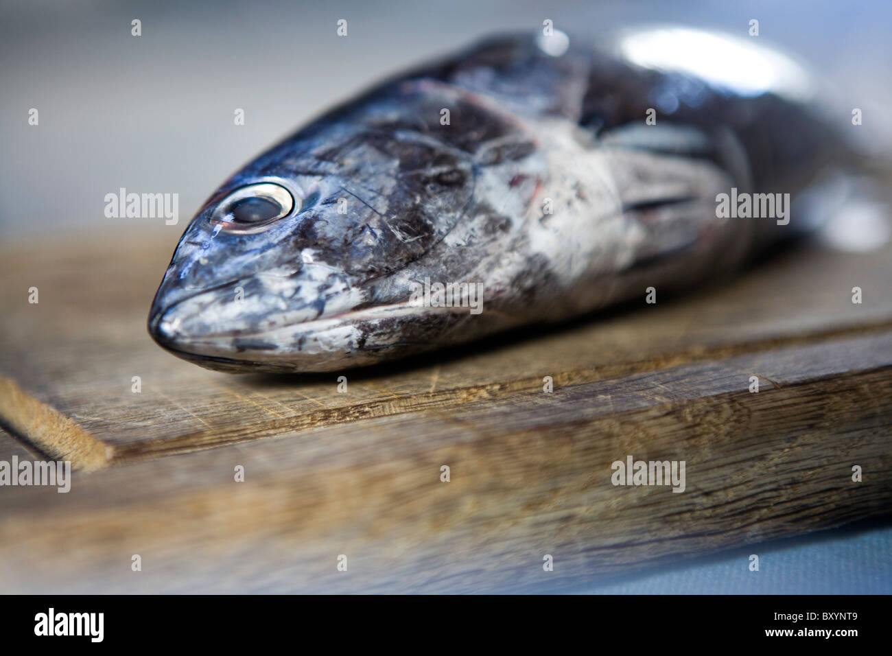Head and chopping block hi-res stock photography and images - Alamy