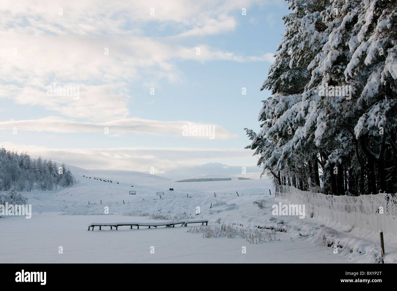 snowy scene in Scotland Stock Photo - Alamy