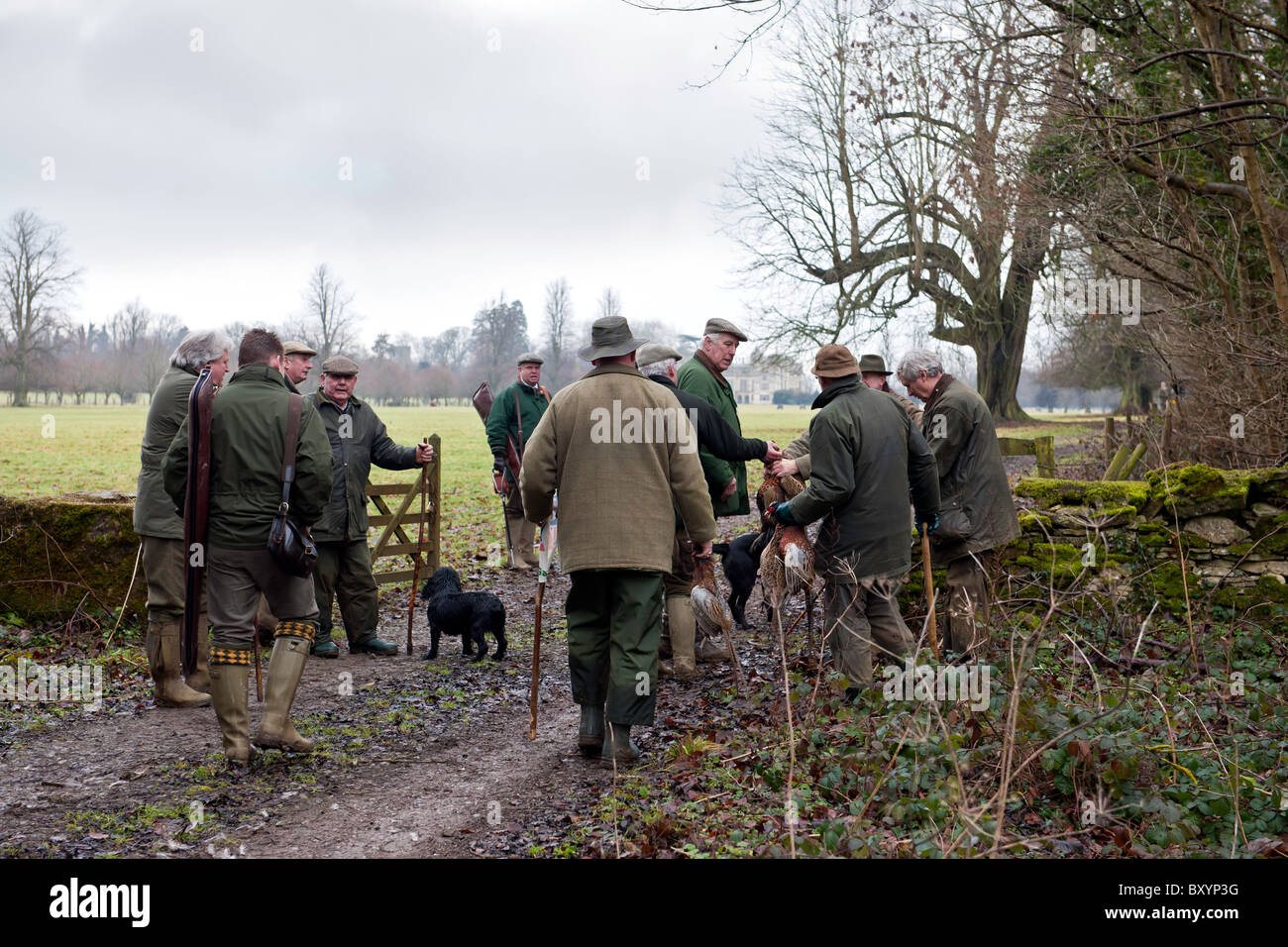 The Pheasant Shoot Stock Photo - Alamy
