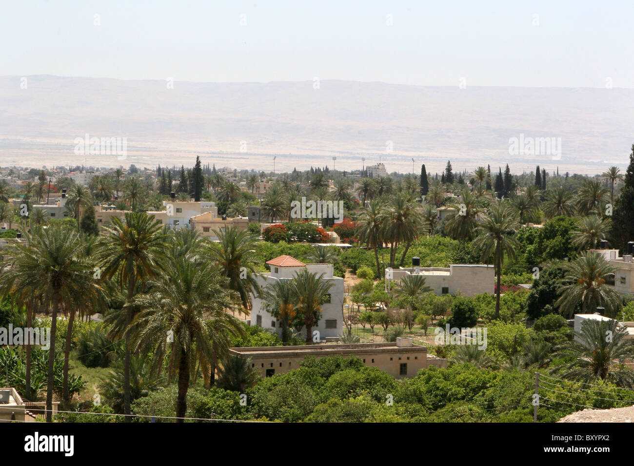 Surrounded by desert, palm trees and lush vegetation abounds in the ...