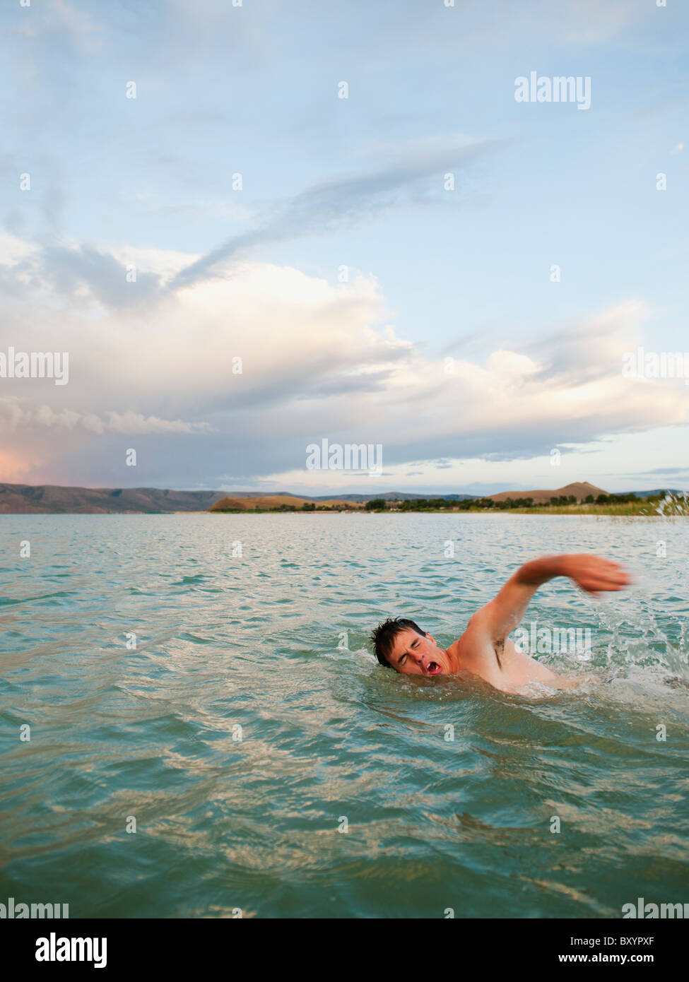 Man swimming in lake Stock Photo - Alamy