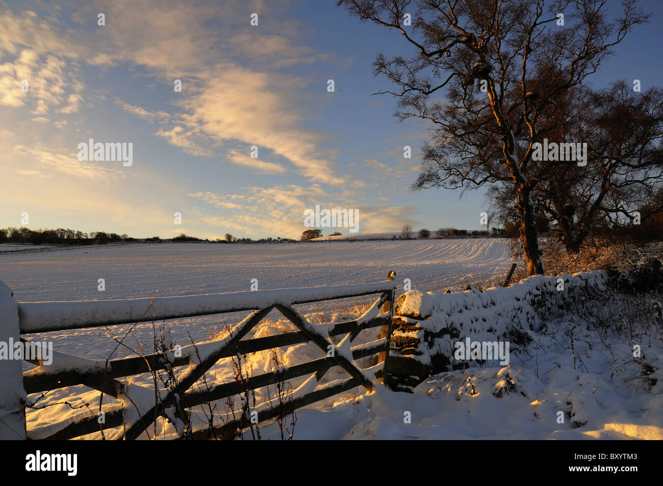 snow on a crisp december morning Stock Photo - Alamy