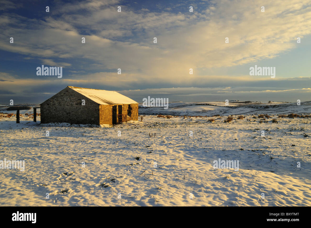 snow on a crisp december morning Stock Photo - Alamy
