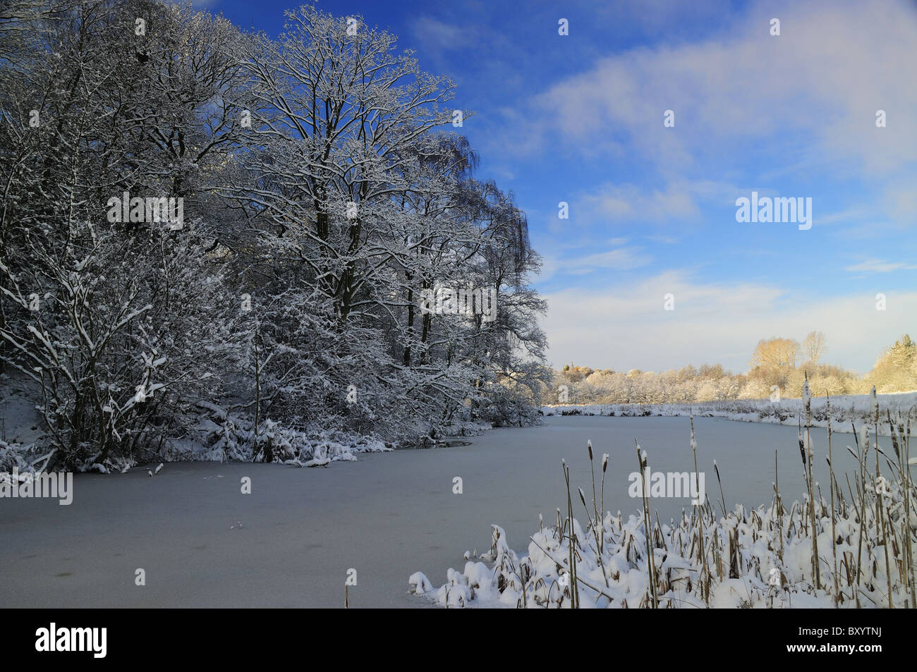 snow on a crisp december morning Stock Photo - Alamy