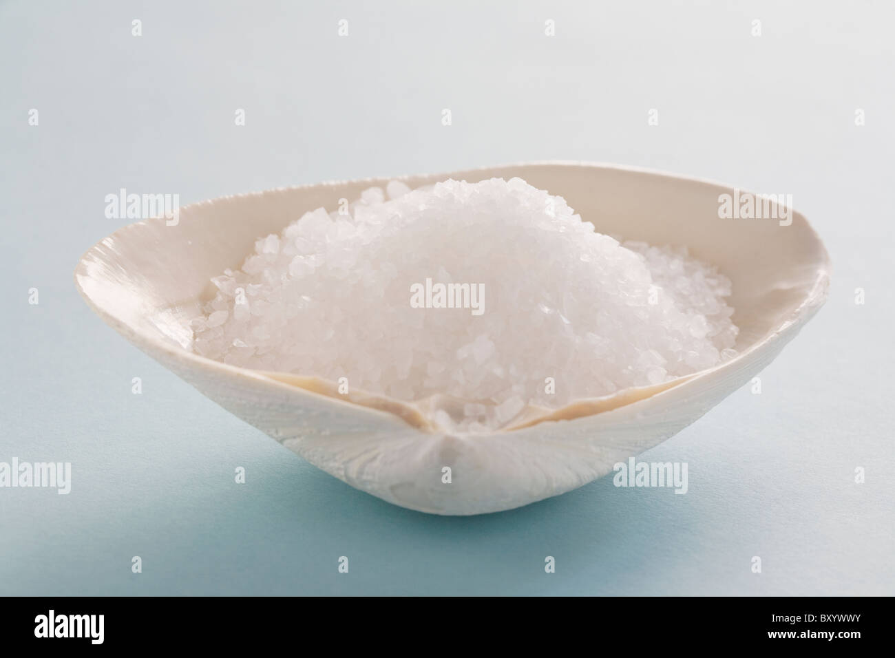 Salt in clam shell Stock Photo - Alamy