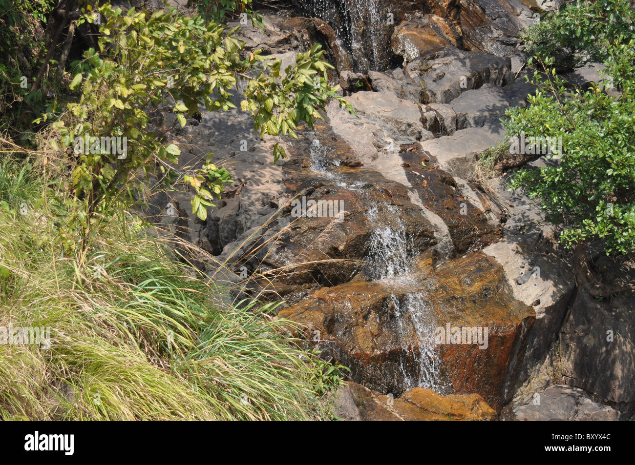 A small spring Stock Photo - Alamy