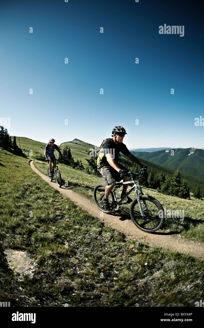 Men mountain biking on mountain track Stock Photo - Alamy