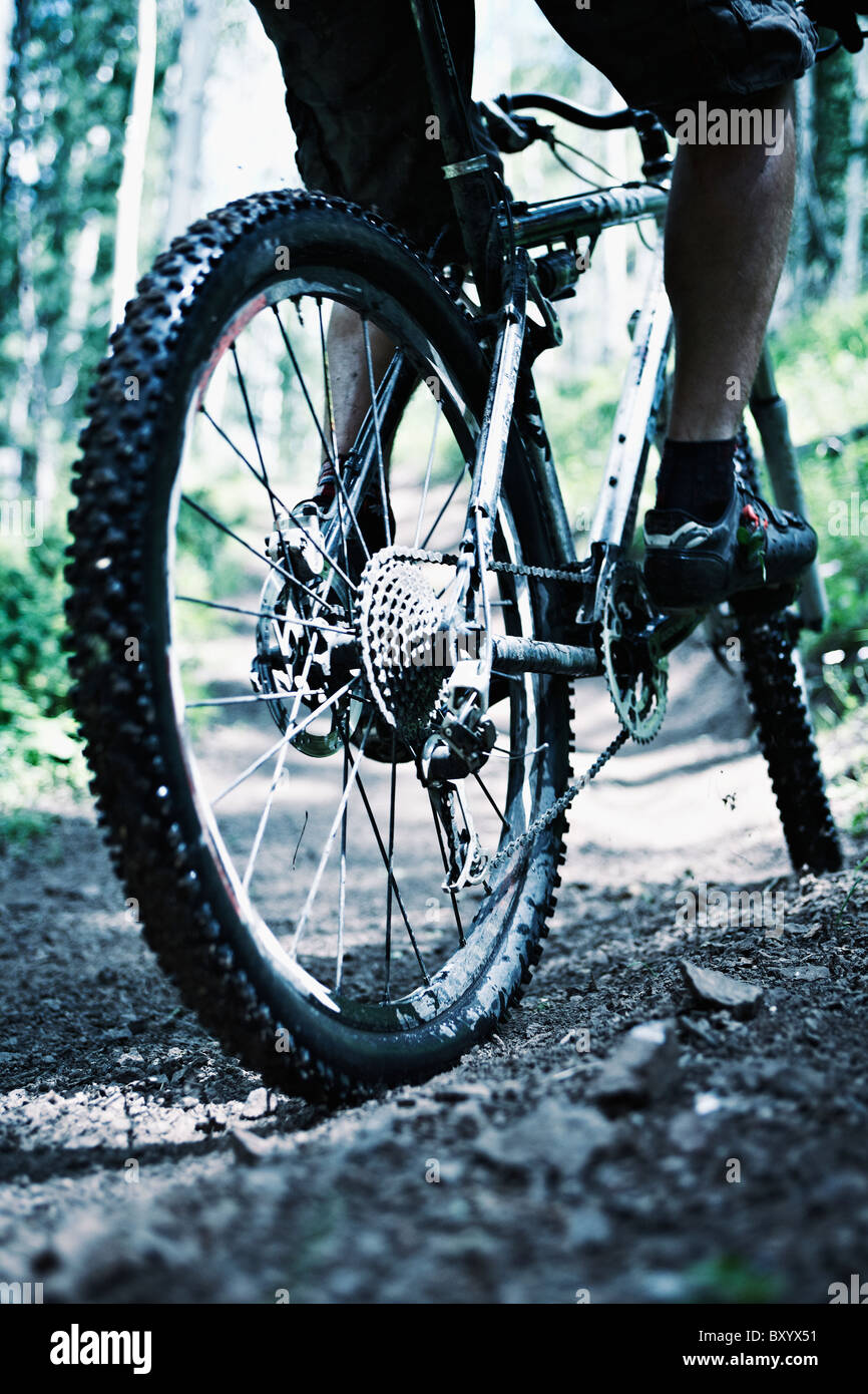 Man mountain biking Stock Photo - Alamy