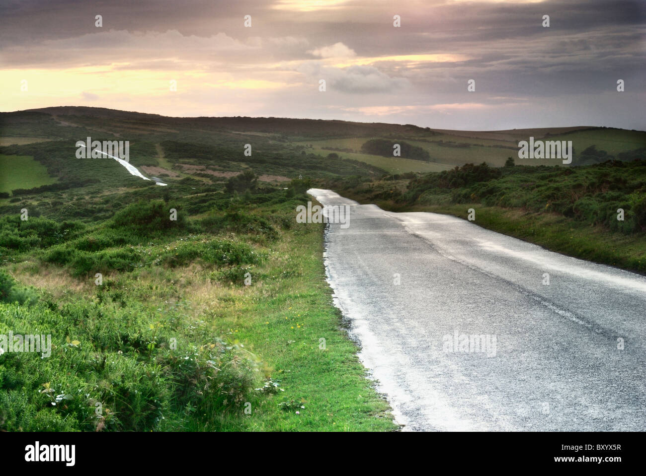 Exmoor national park hi-res stock photography and images - Alamy