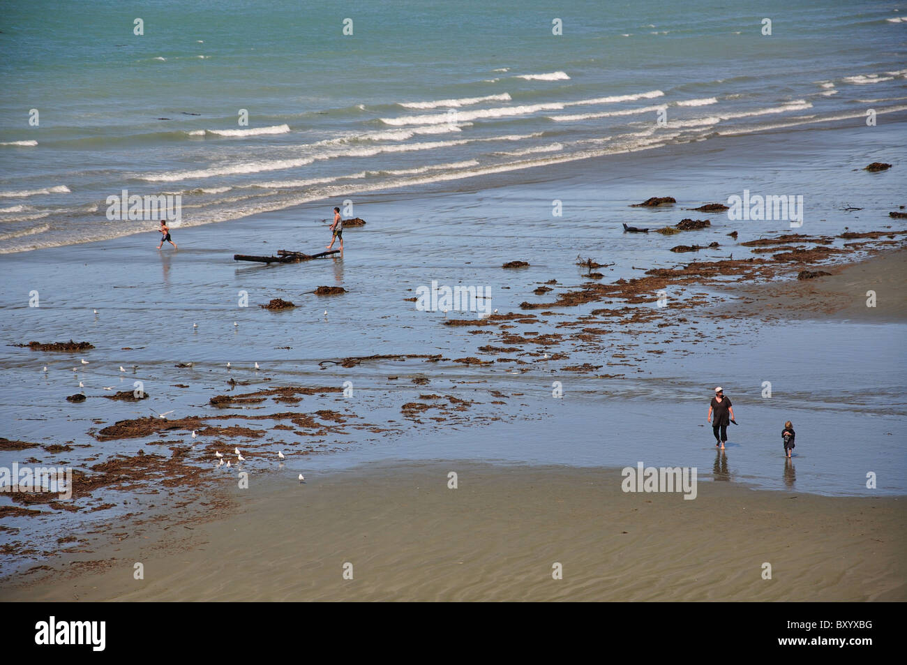 Timaru beaches hi-res stock photography and images - Alamy