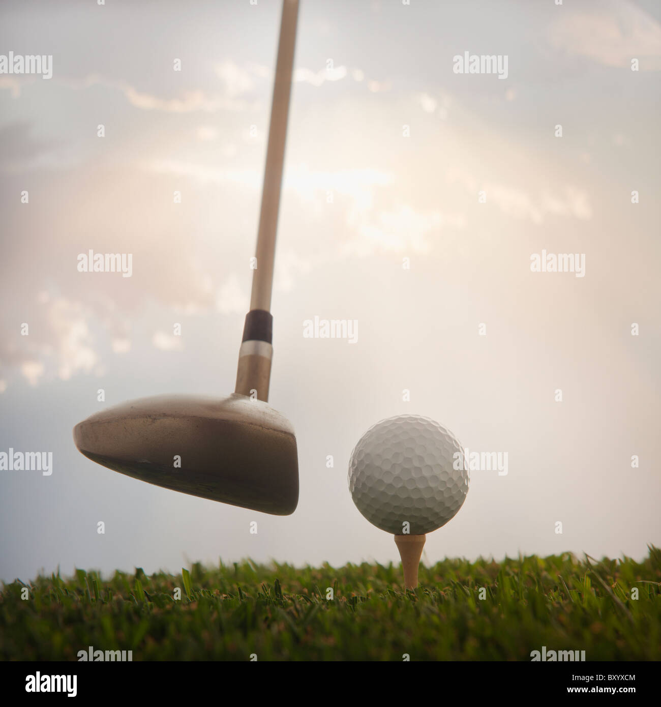 Golf ball on tee Stock Photo - Alamy