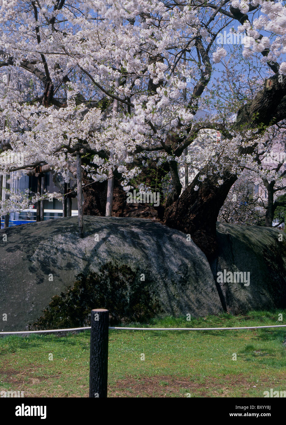 Morioka hi-res stock photography and images - Alamy