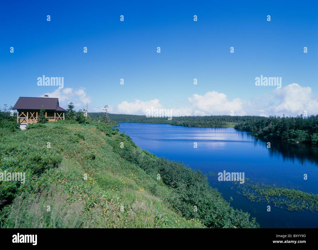 Hachiman pond hi-res stock photography and images - Alamy
