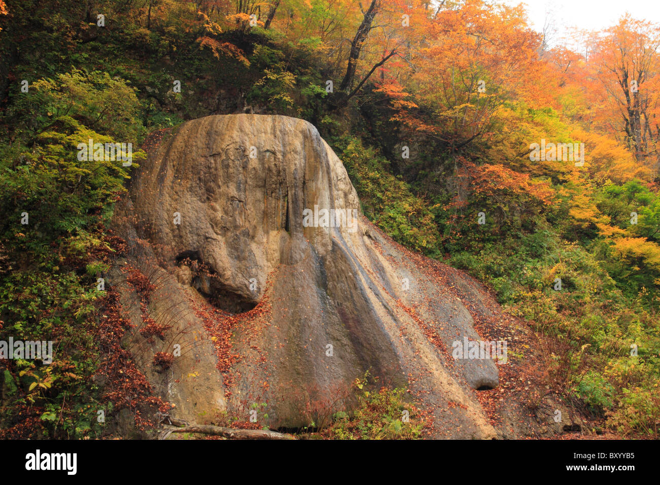 Kitakami hi-res stock photography and images - Alamy