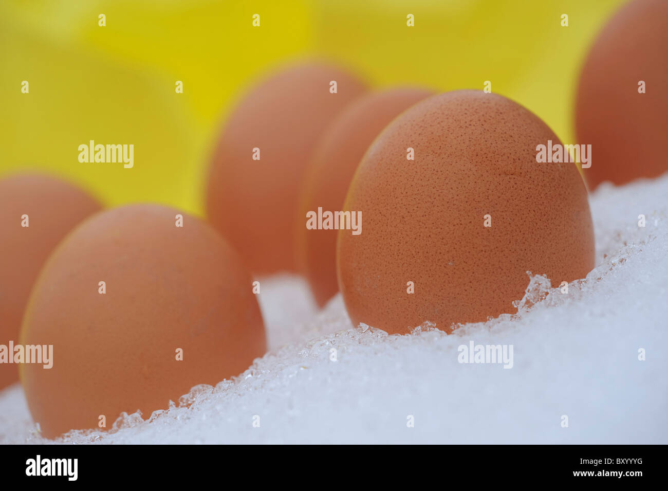 Eggs lying in the snow with yellow background Stock Photo - Alamy