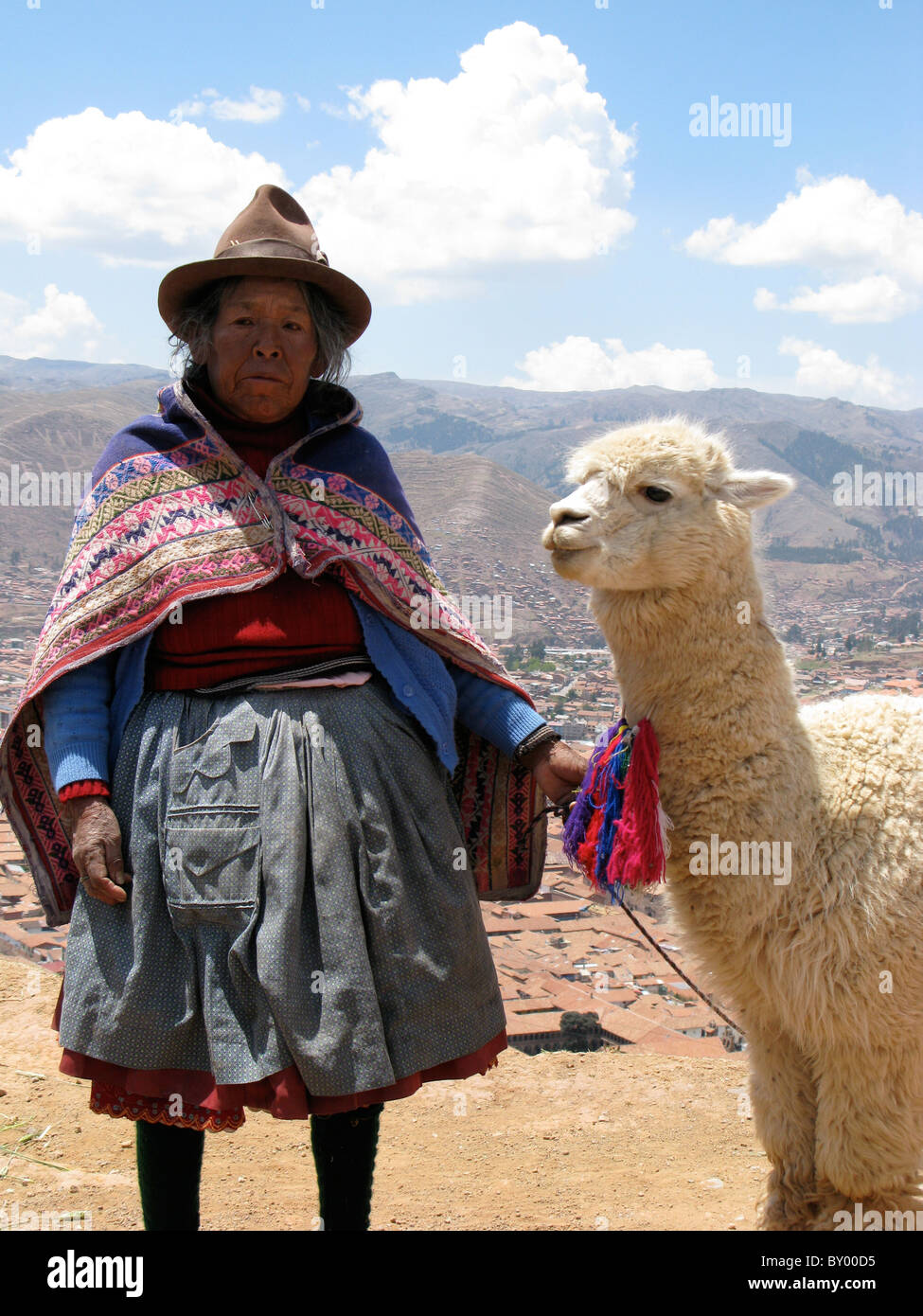Old lady with her alpaca in Peru Stock Photo - Alamy