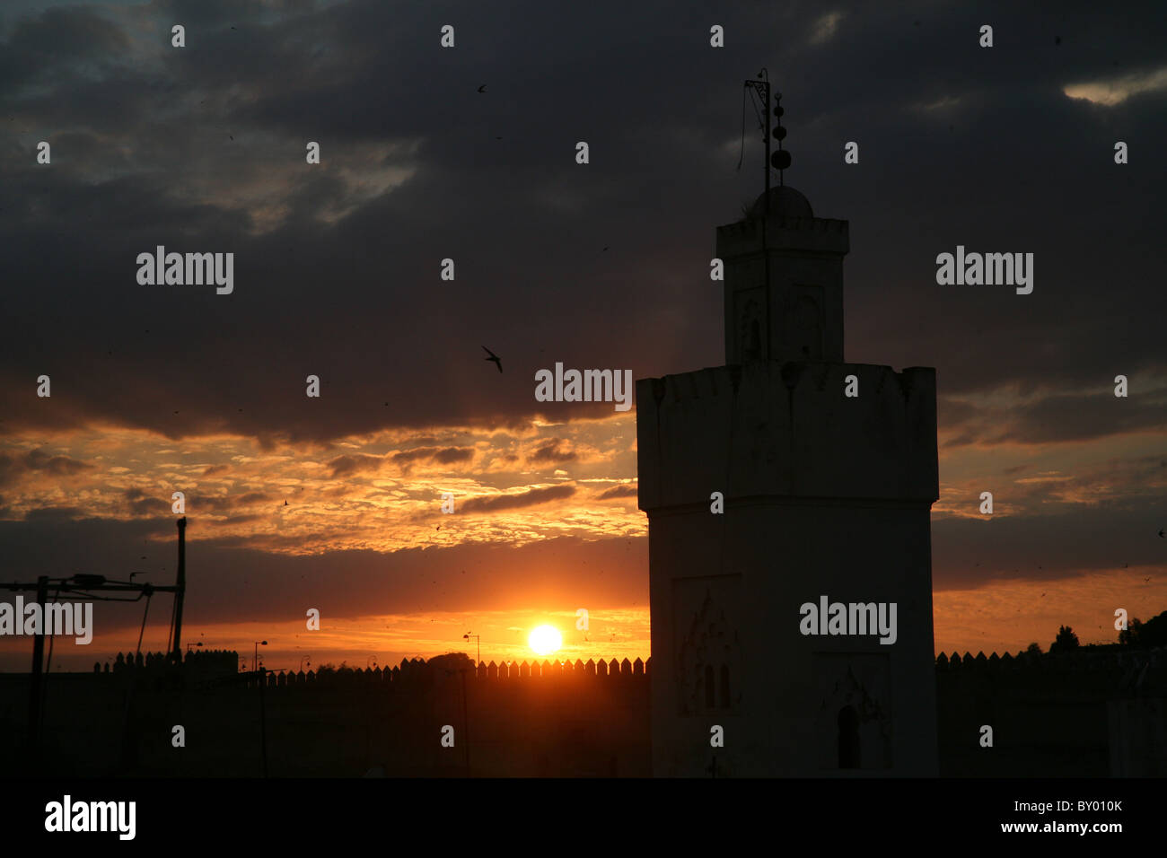 a silhouette of the city of fez in morocco with millions of swallows ...