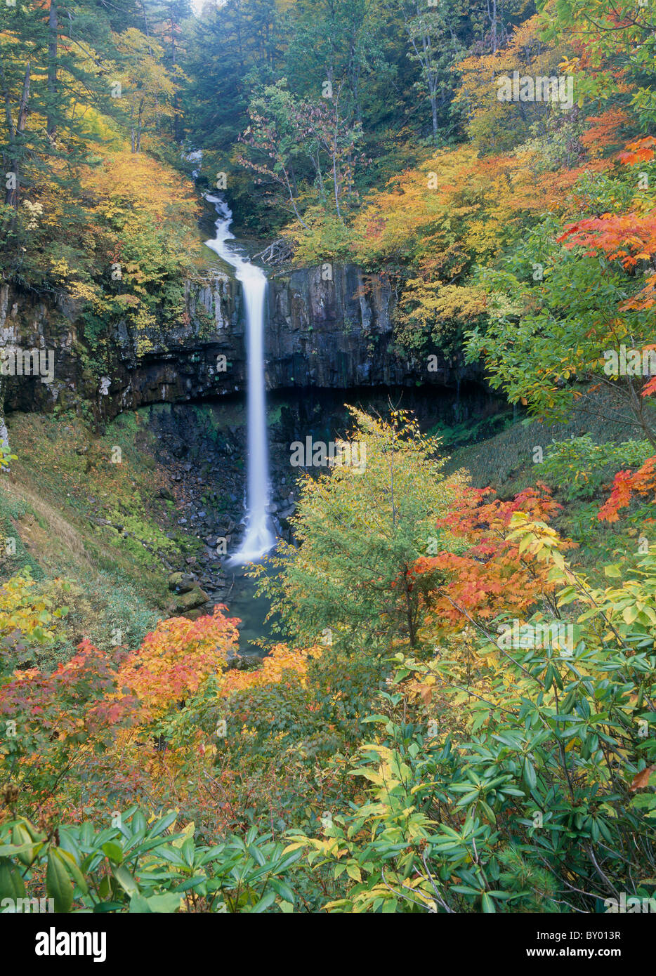 Sori Waterfall and Autumn Leaves, Kazuno, Akita, Japan Stock Photo - Alamy