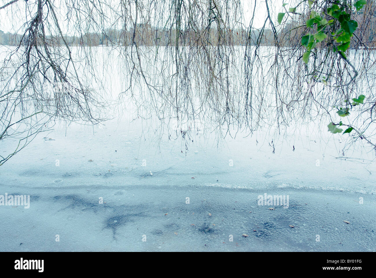 Petersfield heath pond hi-res stock photography and images - Alamy
