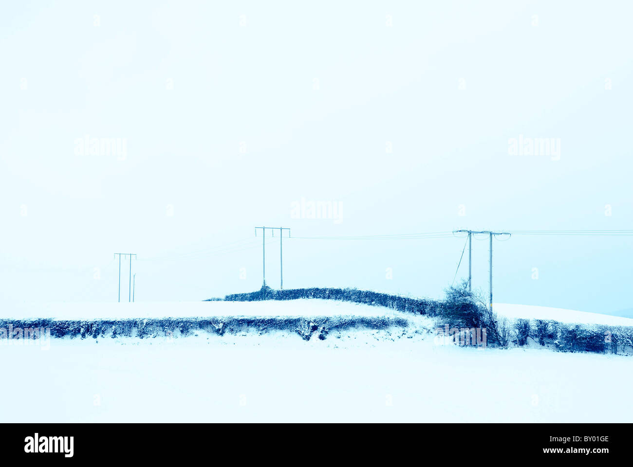 White out snow in field with hedges and power lines Stock Photo - Alamy