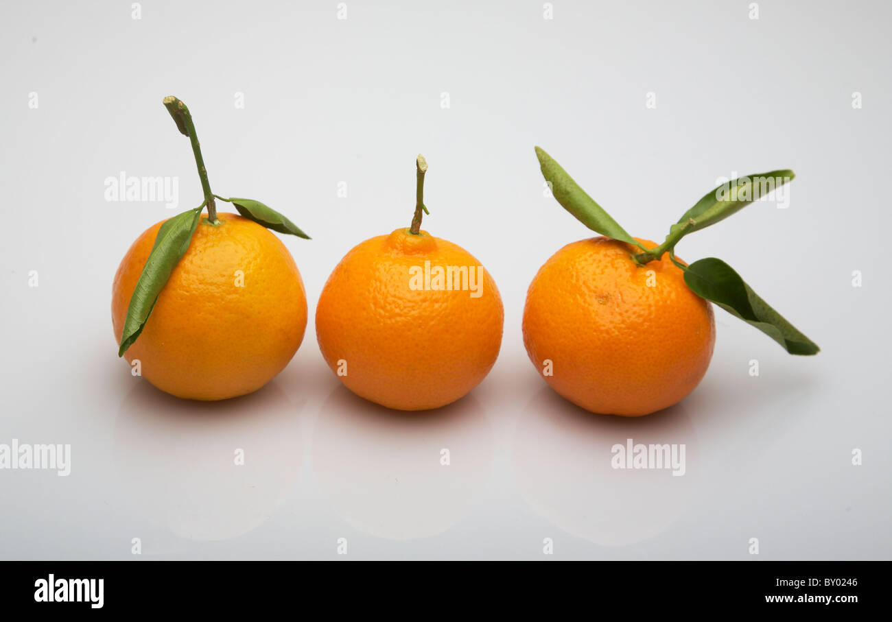 Three oranges in a row with leaves on a white background Stock Photo ...