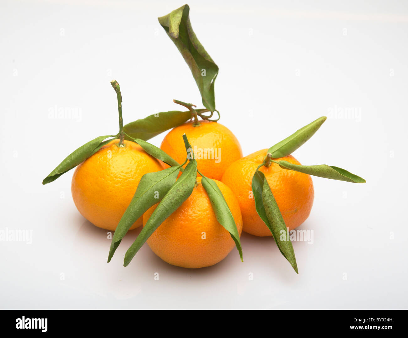 Oranges with leaves on a white background Stock Photo - Alamy