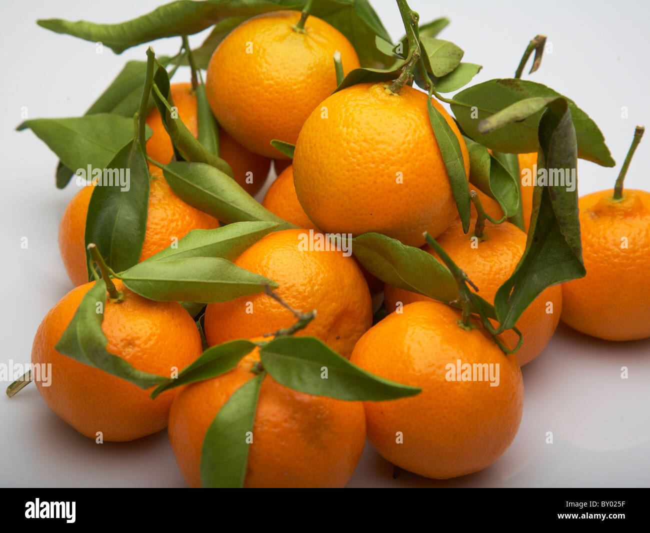Bunch of oranges with leaves on a white background Stock Photo - Alamy