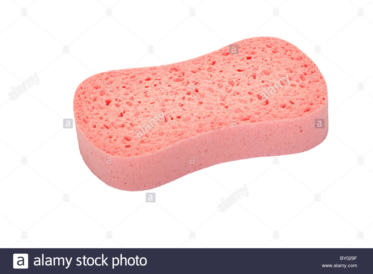 Sponge Stock Photos & Sponge Stock Images - Alamy