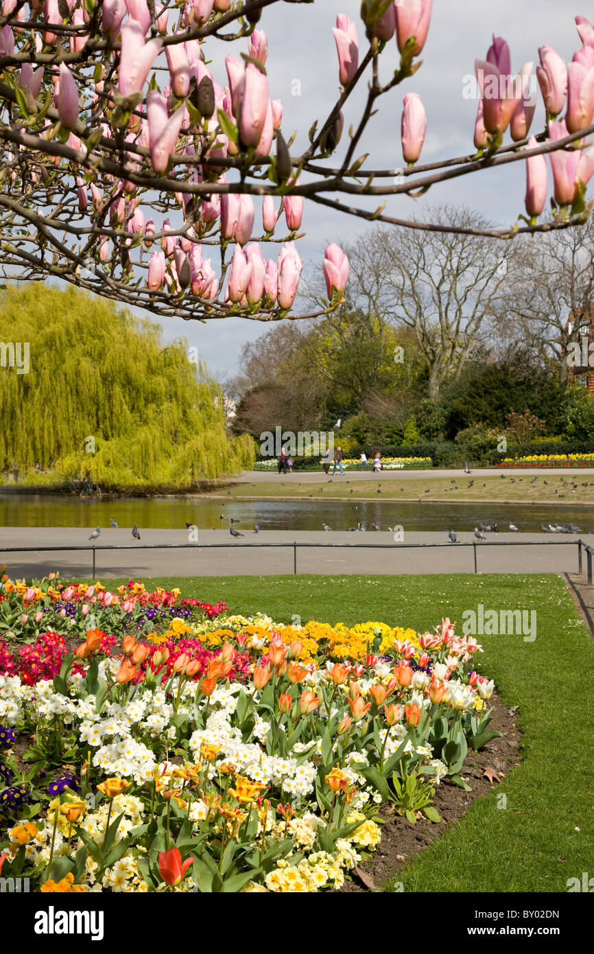 Regents park london birds hi-res stock photography and images - Alamy