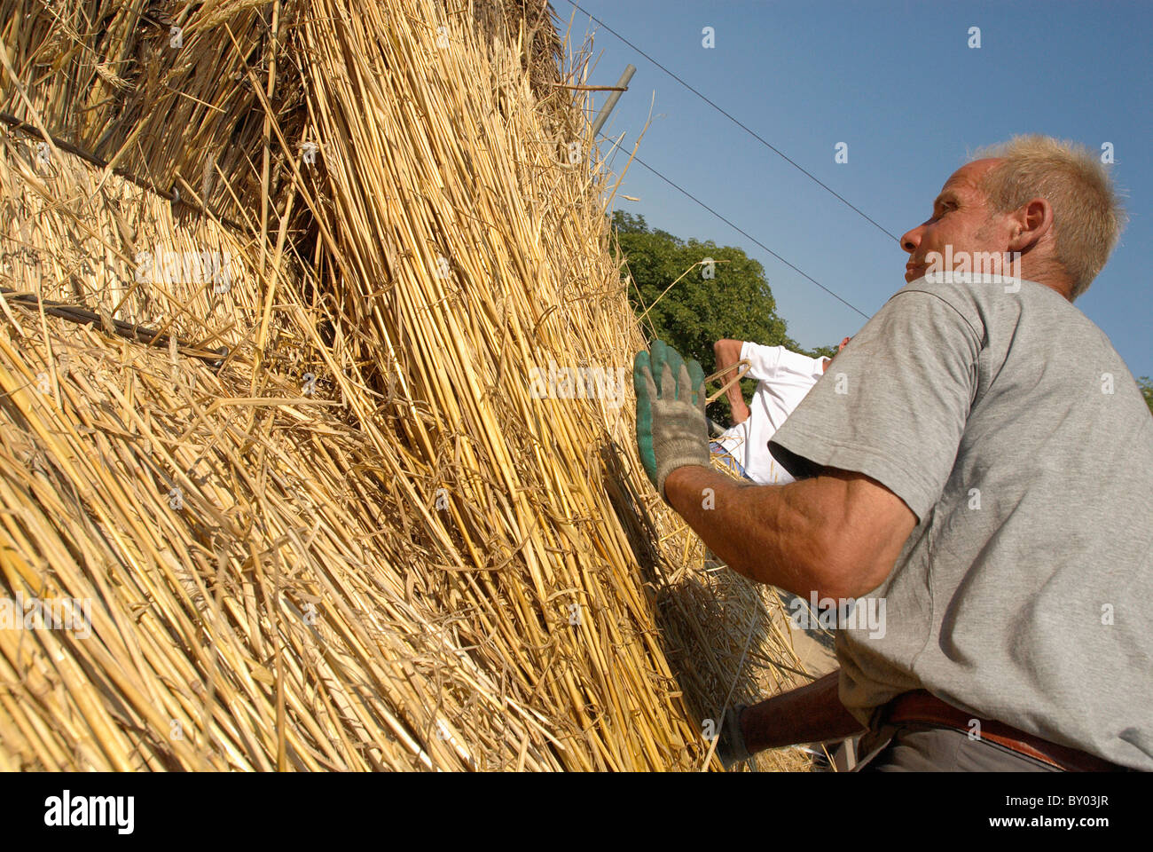 Man working on thatched roof Stock Photo - Alamy