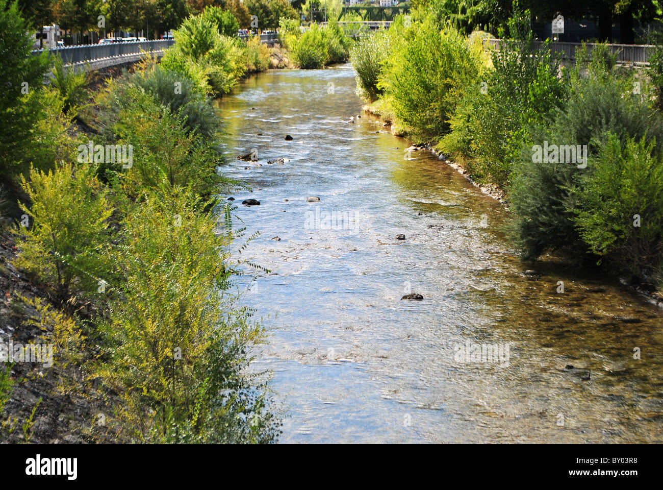River surrounded by trees and shrubs Stock Photo - Alamy