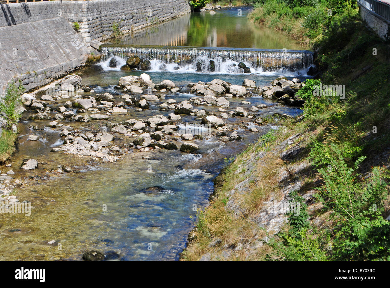 River surrounded by trees and shrubs Stock Photo - Alamy