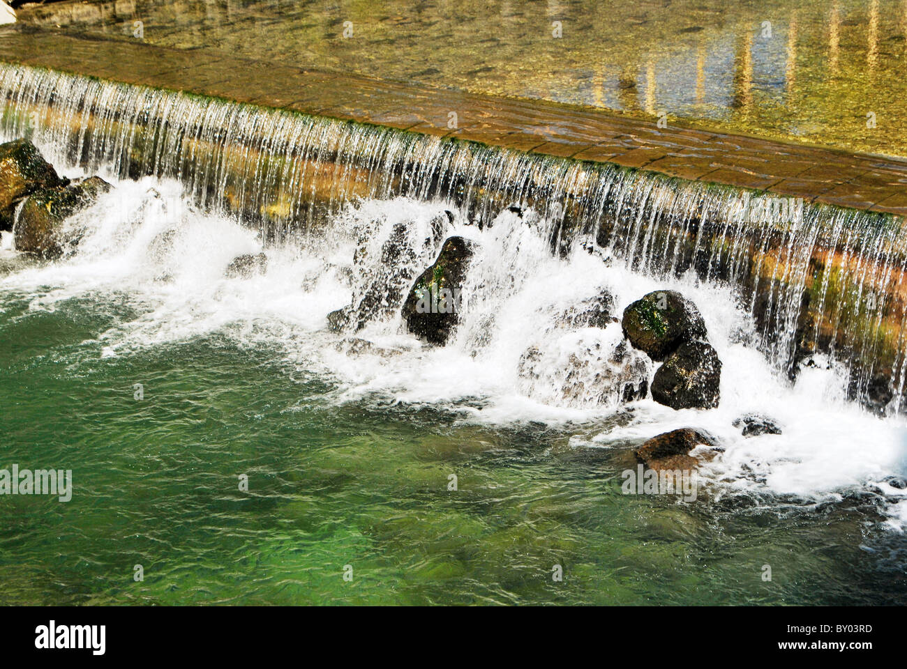 River surrounded by trees and shrubs Stock Photo - Alamy
