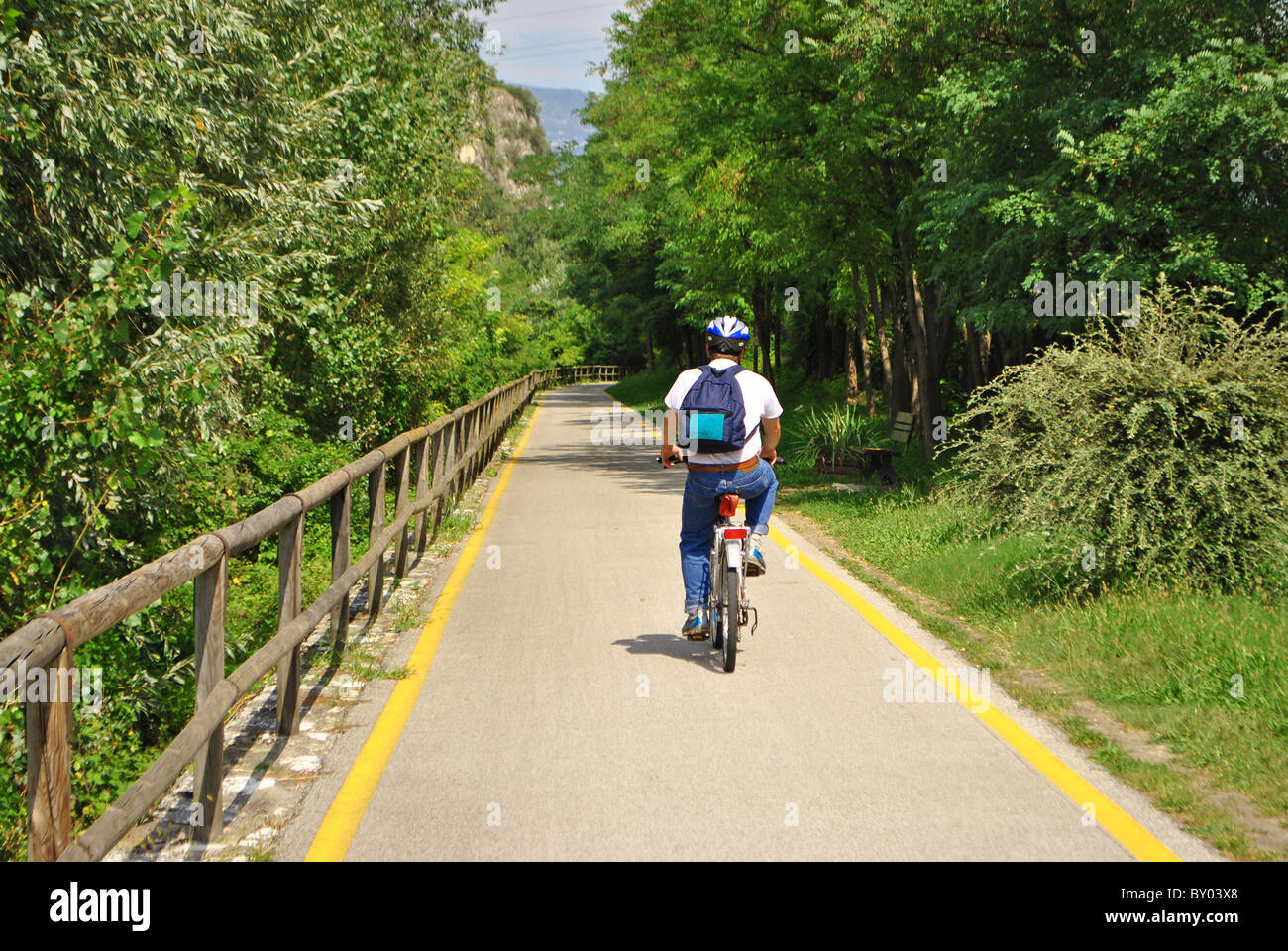 road for bicycles surrounded by nature Stock Photo - Alamy