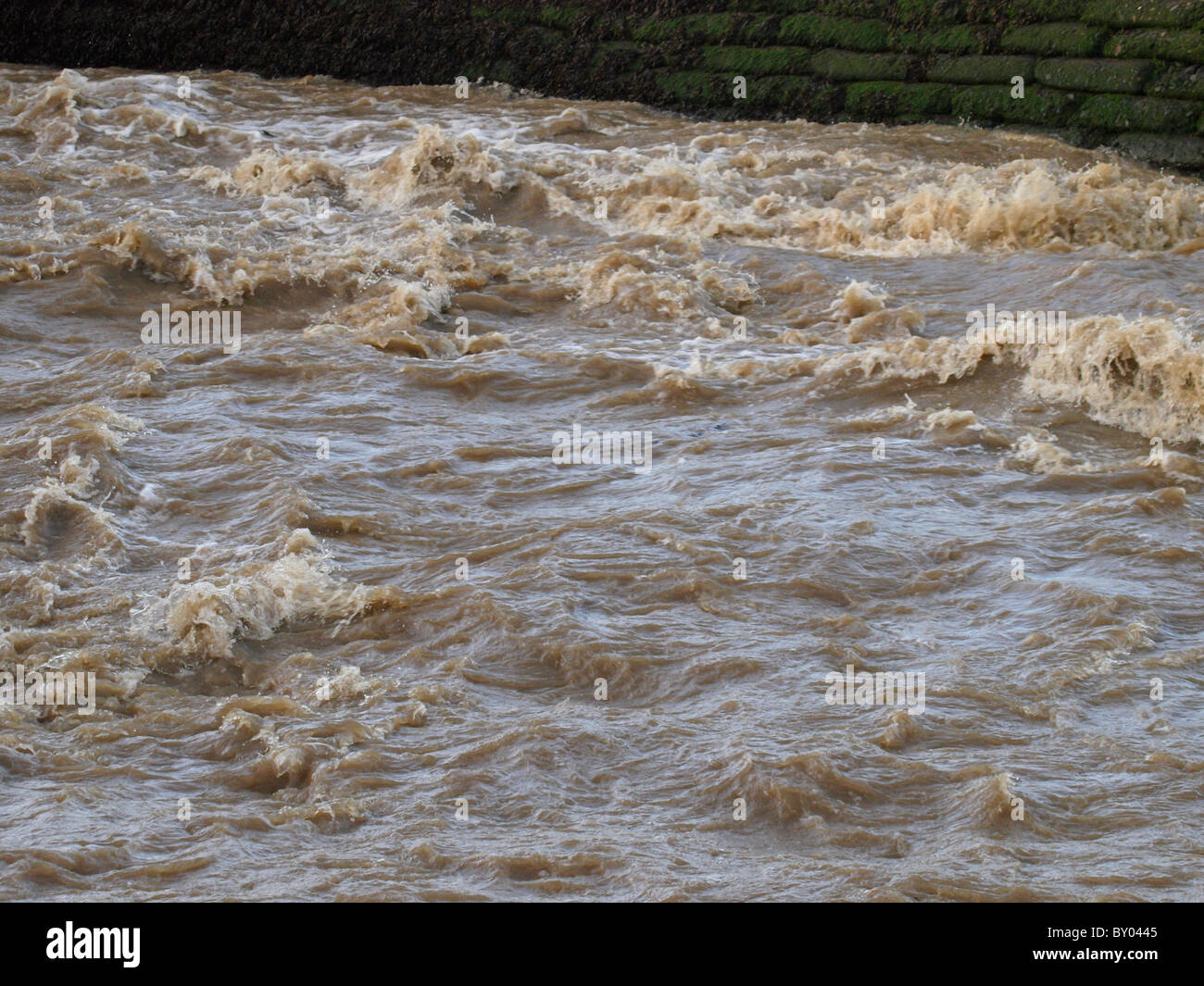Swollen river after heavy rains, UK Stock Photo - Alamy