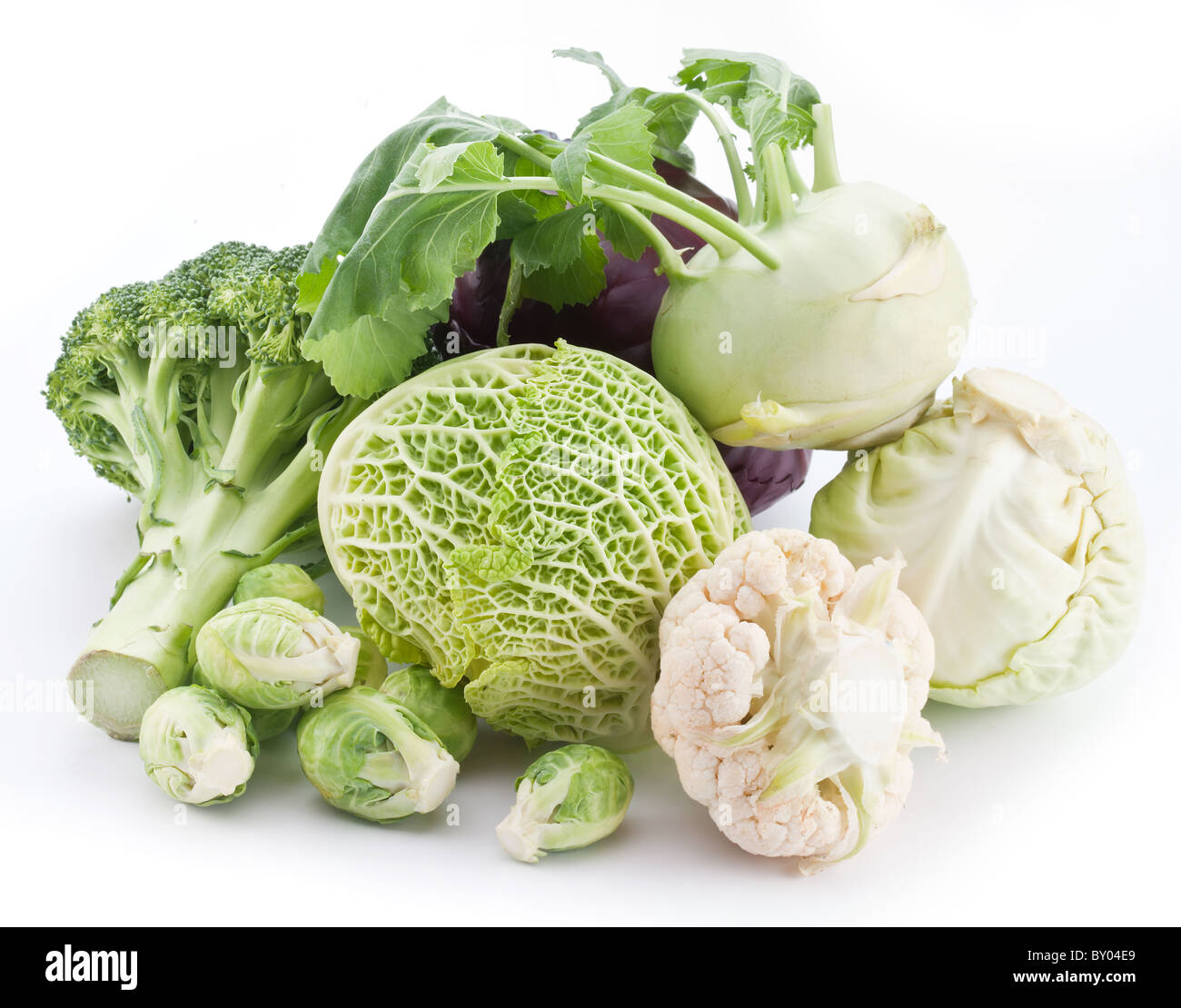 Collection of different varieties of cabbage on a white background ...