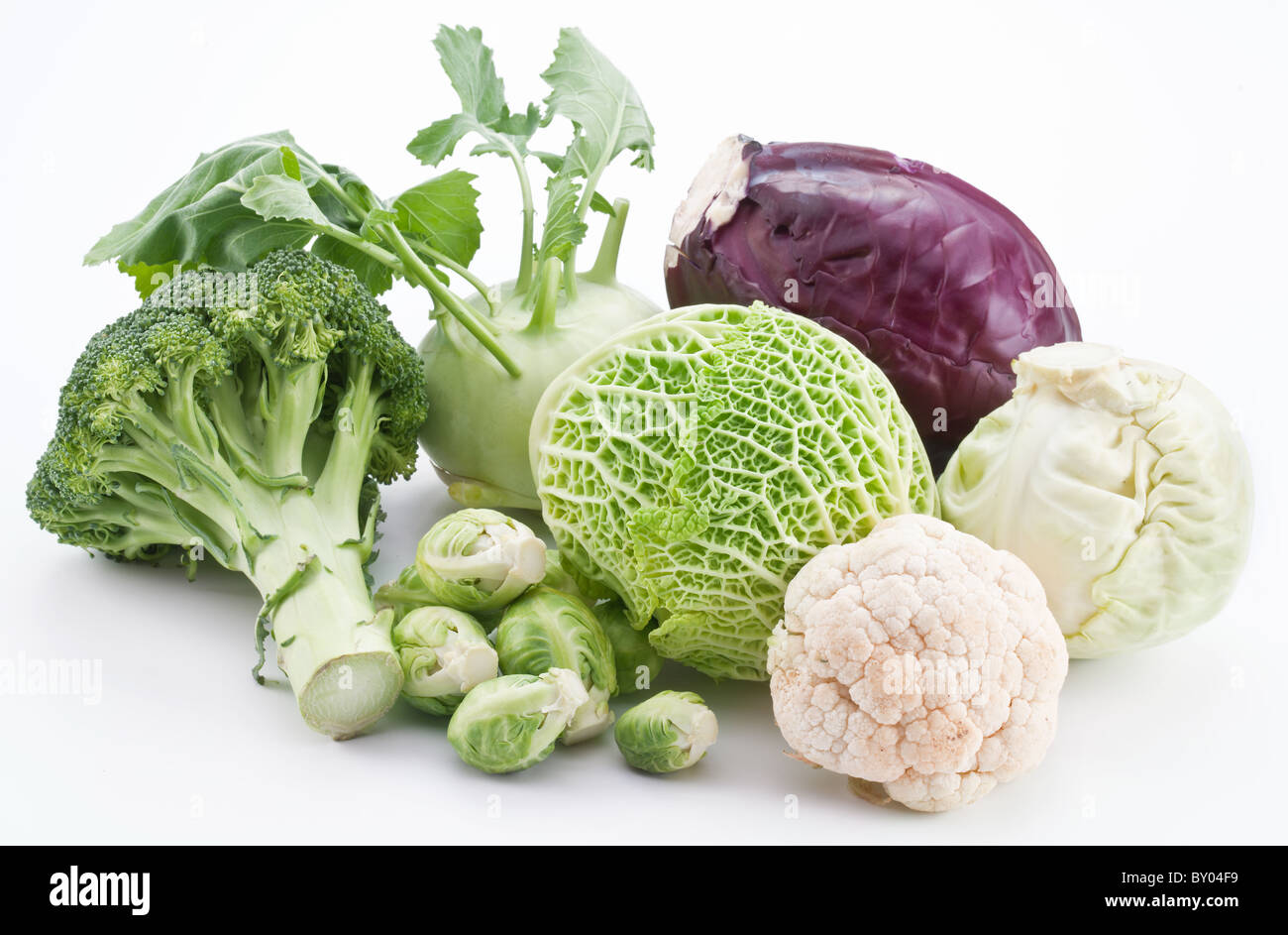 Collection of different varieties of cabbage on a white background ...