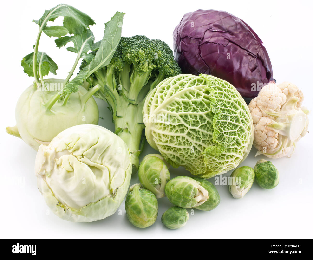Collection of different varieties of cabbage on a white background ...
