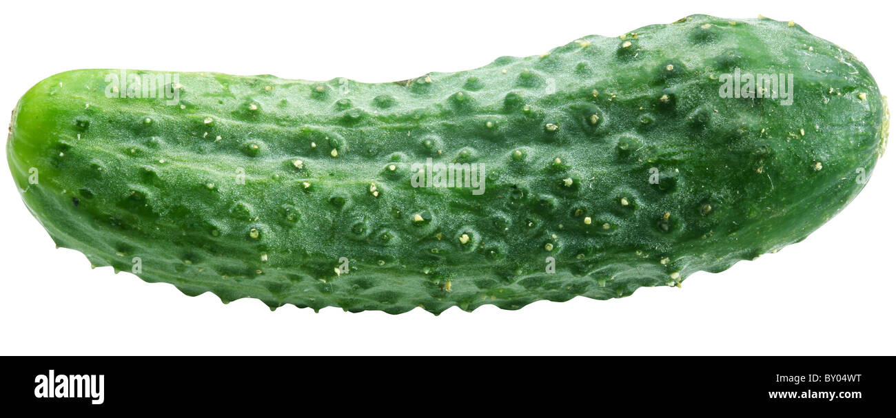 Image of cucumber on white background. The file contains a path to cut ...