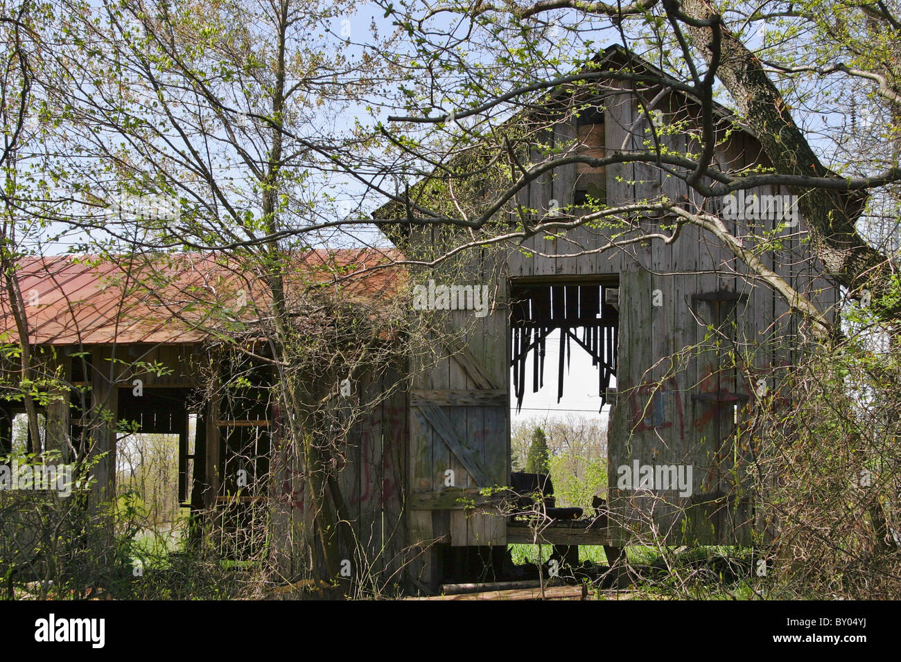 A rundown barn surrounded by overgrown shrubs Stock Photo - Alamy