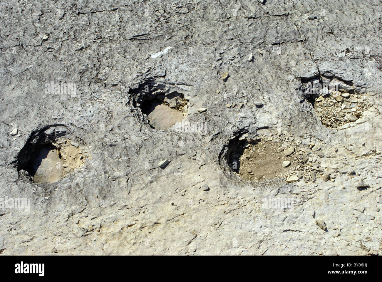 prehistoric dinosaur footprints in the rock Stock Photo - Alamy