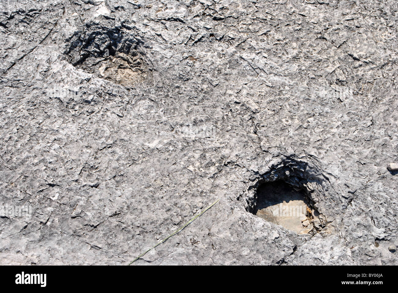 prehistoric dinosaur footprints in the rock Stock Photo - Alamy